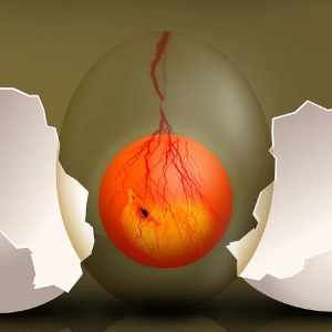 Biologie – lernkosmos.net